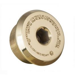SS Exd Blind plug 20mm